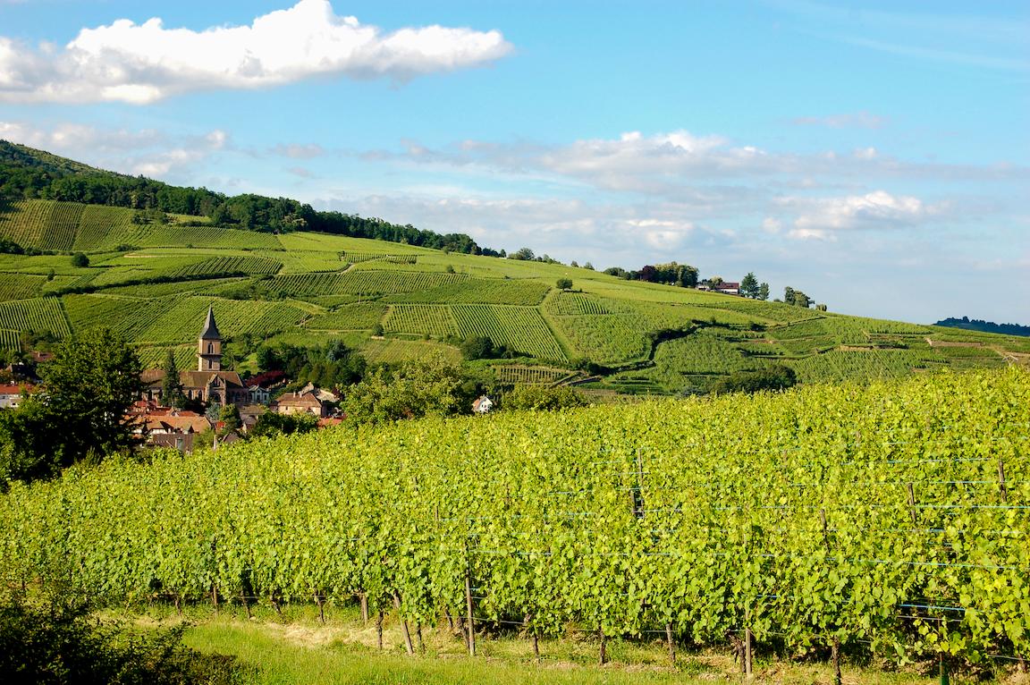 Familienradreise Elsass | vamos Familienreisen